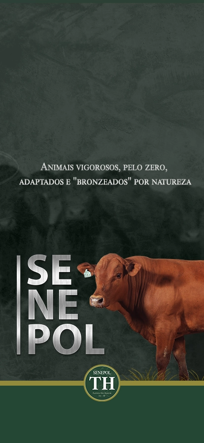 Serviços de oficina